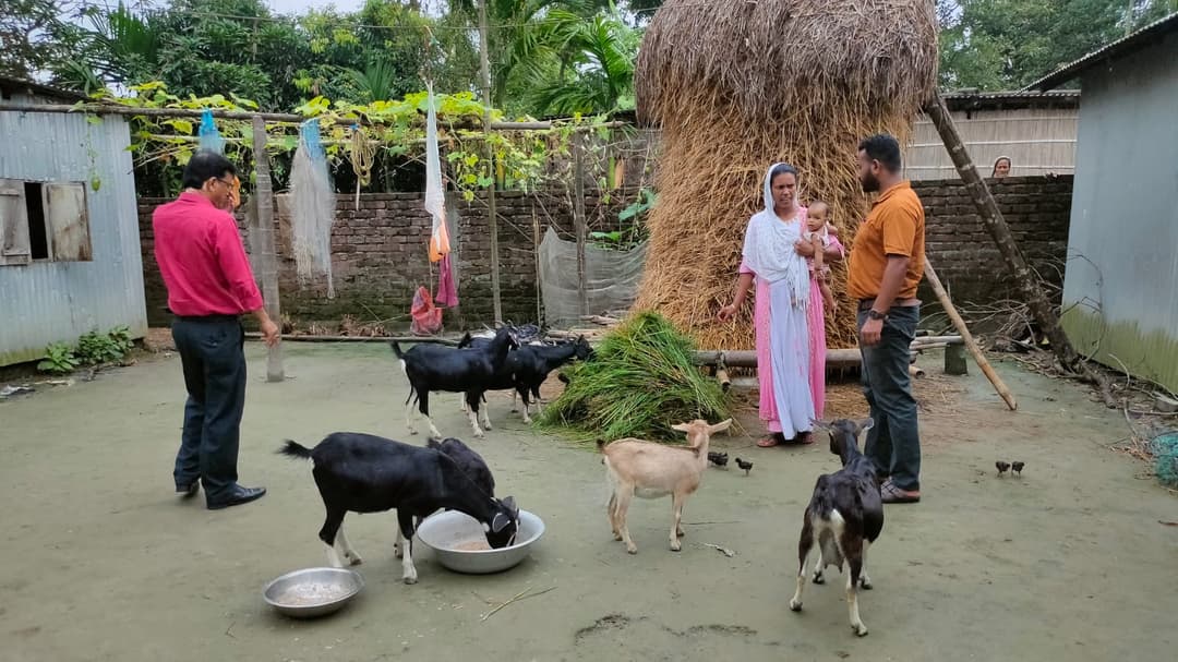 Aman Foundation - Service Towards Humanity